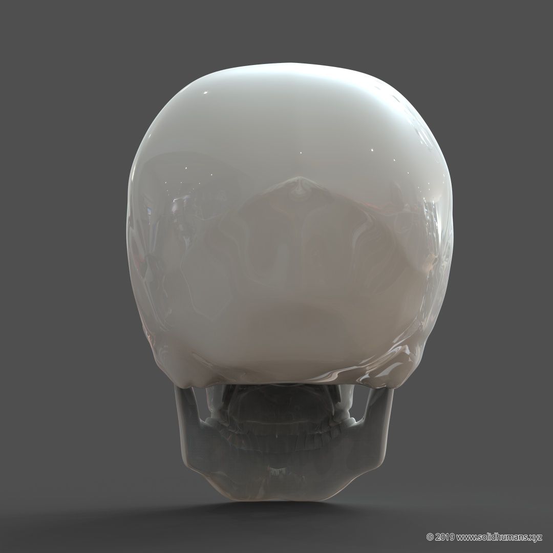 STL file Human Skull model M3P1D1V1Skull・3D printable model to download ...