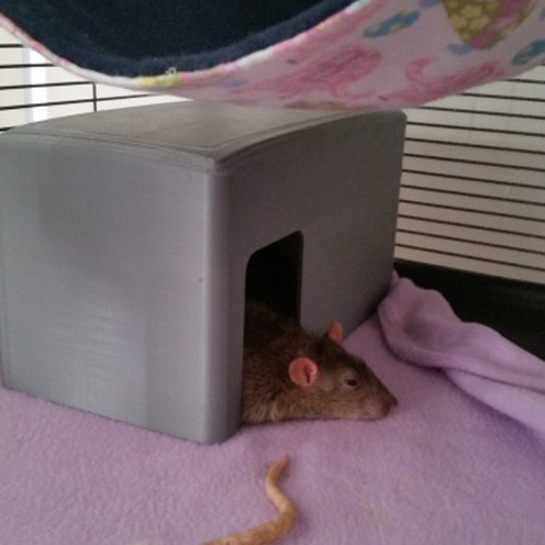 Free STL file Small Animal House (rats/mice/hamster) 🤏 ・3D printing ...