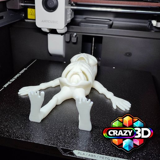 💀 Crazy articulated Skeleton - Mini 38mm print possible !!!・ STL File ...