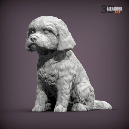 🐕 Maltese dog sitting 3D print model・ STL File for 3D printing・Cults