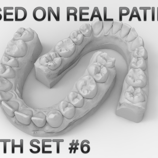 🫀 Anatomical Human Teeth Model Set 6 – 3D Print Ready・ STL File for 3D ...