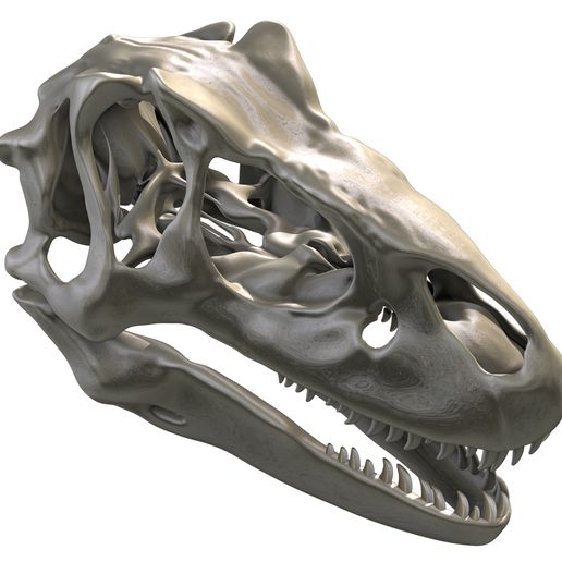 💀 Young Allosaurus: skull v2・ STL File for 3D printing and CNC ...