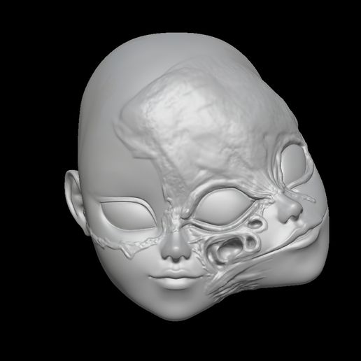 STL file Monster High Tomie Head for customization 👹 ・3D printer design ...