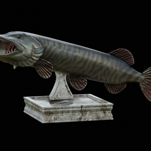STL file fish pike muskellunge muskie / Esox masquinongy in motion ...