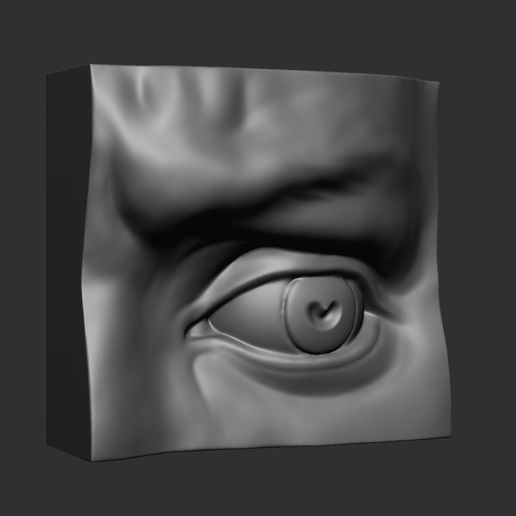 ️ David Facial Anatomy – Anatomic Study Models Collection STL+OBJ・ 3D ...
