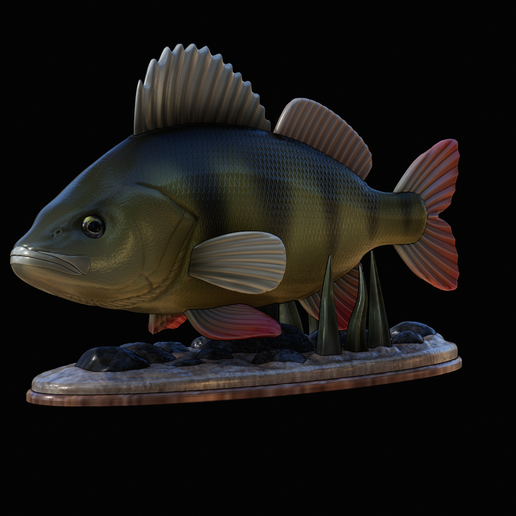STL file fish perch / Perca fluviatilis statue underwater detailed ...