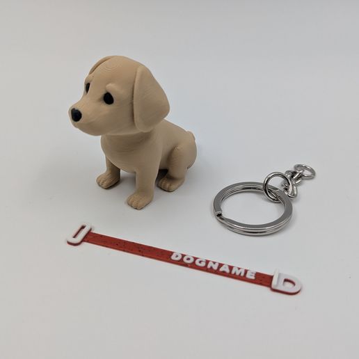 STL file Dog keychain with name collar - Labrador 🐕 (3MF)・3D printer ...