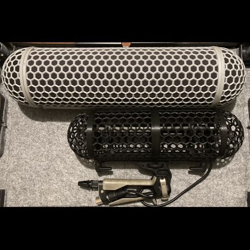 blimp mic