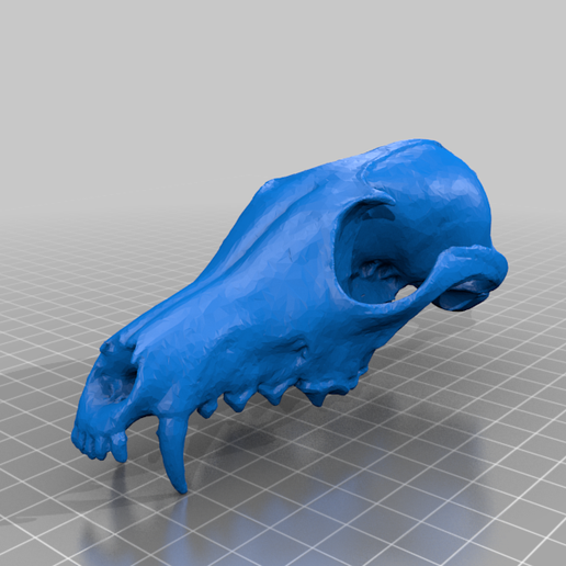 🦊 Fox Skull・Free 3D File for ・Cults