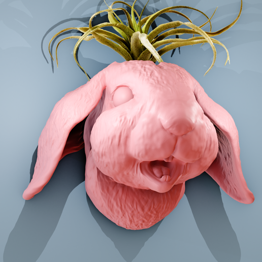 STL file bunny rabbit ears down wall mount mouth open head planter pot ...