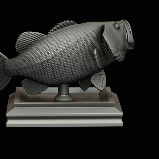 🐠 fish Largemouth Bass / Micropterus salmoides trophy statue detailed ...
