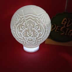 Download 1 3D model from Custom 3D Volleyball lights listed by GDDesign ...
