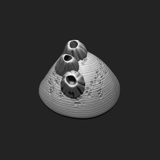 Fichier 3D Coquille avec balanes - Impression 3D - Aquarium - Sea Life ...