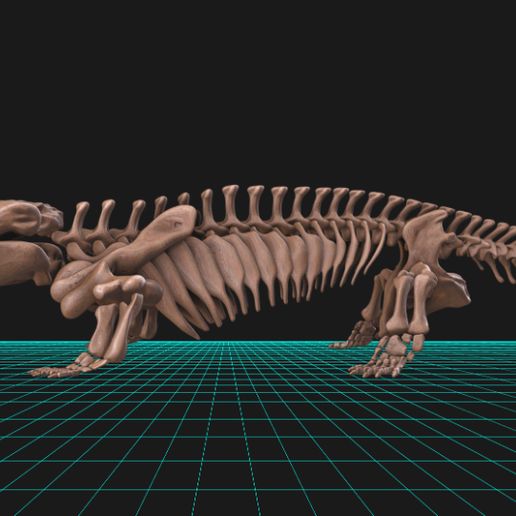 💀 Ichthyostega: Complete skeleton・ STL File for 3D printing・Cults