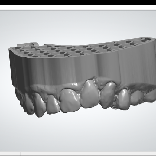 🩻 Endodontic palate model・Free STL File for ・Cults