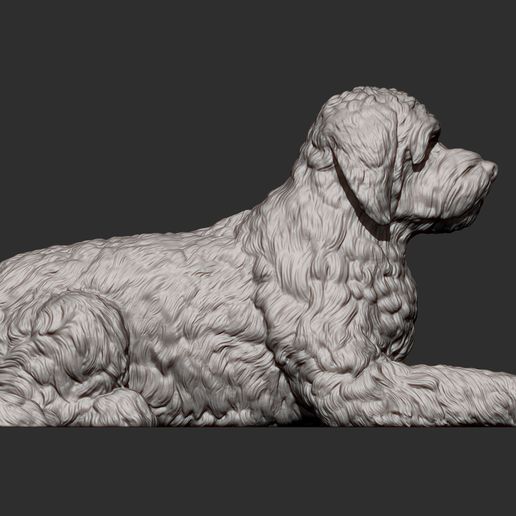 🐕 Goldendoodle lies 3D printed model・ STL File for 3D printing・Cults