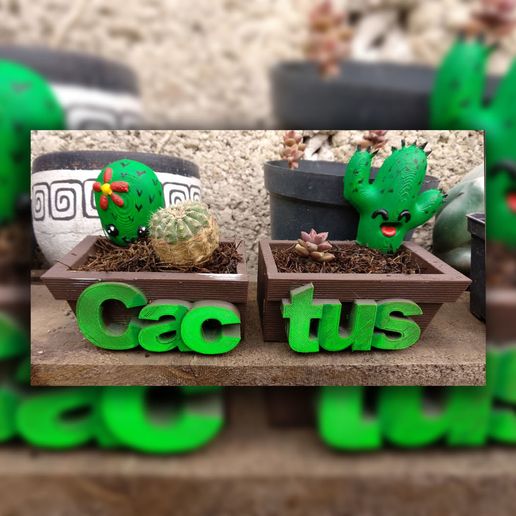 🌵 Maseta Cactus・ STL File for ・Cults