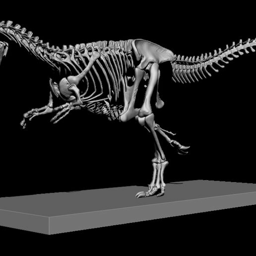 🏃 ALLOSAURUS RUN・ 3D File for 3D printing・Cults