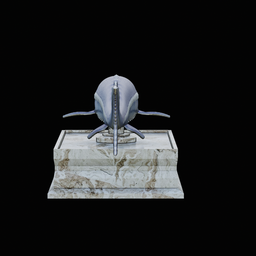 🐠 fish sturgeon / huso huso / vyza / Acipenseridae with storage space ...