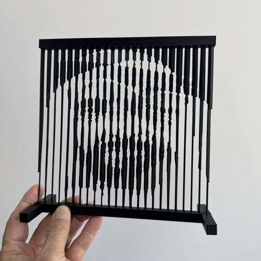 🗿 Sheikh Zayed to Sheikh Mohamed Bin Zayed – 3D Optical Illusion ...