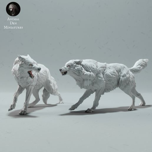 white wolf fight