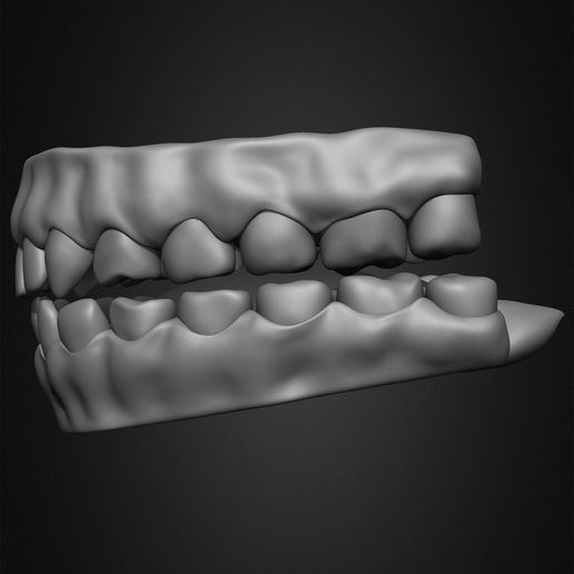 🧪 Highly Detailed Human Teeth・ 3D File for 3D printing・Cults