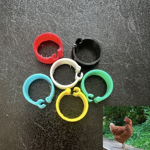 💍 hen ring・ STL File for 3D printing・Cults
