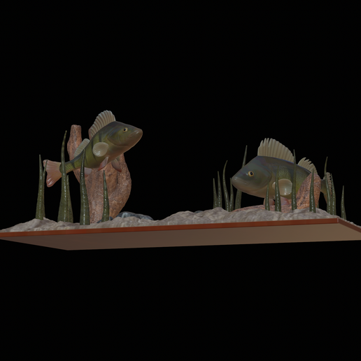 🎏 two perch scenery in underwather for 3d print detailed texture・Free ...