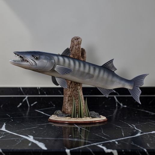 🐠 fish great barracuda (Sphyraena barracuda) trophy in motion sculpture ...