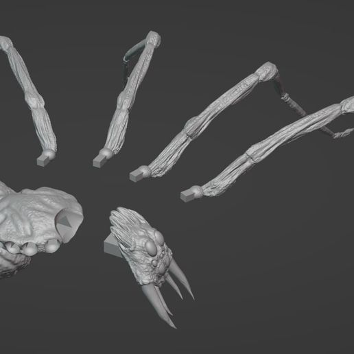 3D file Giant spider 🕷️ ・3D printing design to download・Cults