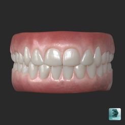 Denture best STL files for 3D printing・794 models to download・Cults