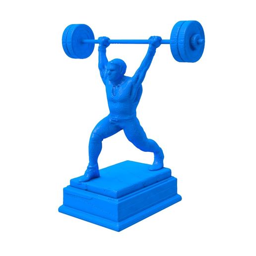 🏆 barbell trophy / barbell trophy stl / trophy / sports cup / sports ...