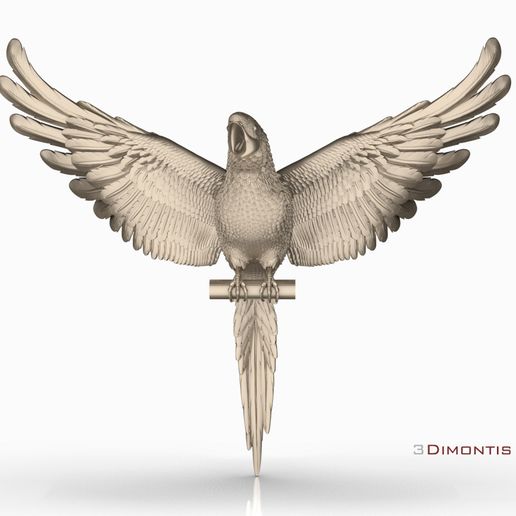 STL file parrot 🦜 ・3D printing template to download・Cults