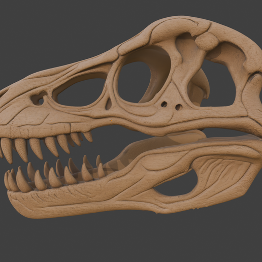 🦖 T-Rex Skull・ STL File for 3D printing・Cults