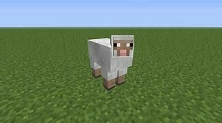 dinnerbone sheep