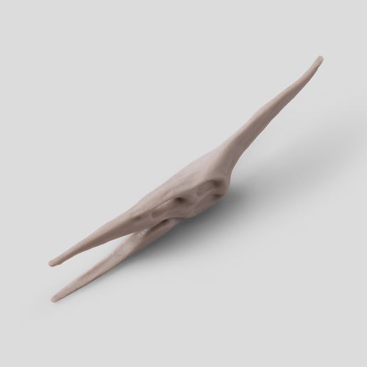 💀 Pterodactyl Skeleton・ STL File for ・Cults