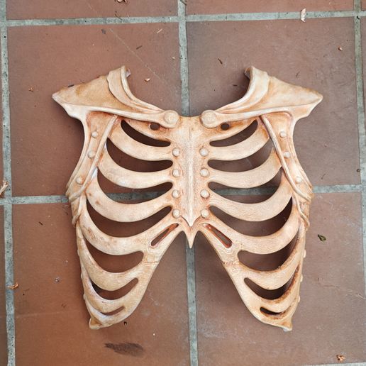 ☠️ Skeleton Rib Cage Chest Armor・3D Print with the X1 Carbon 3D printer ...