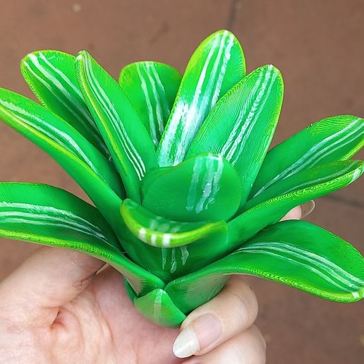 🆓 Bromeliad Feeding Ledge with FREE Cup STL !!・ 3D File for 3D printing ...