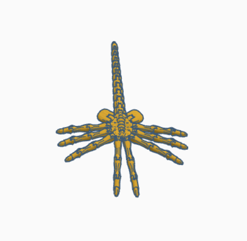 👽 Flexi Alien Romulus Facehugger・ STL File for 3D printing・Cults