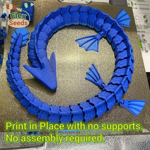 🚰 Flexi Water Dragon (Print-in-place)・Free STL File for 3D printing・Cults