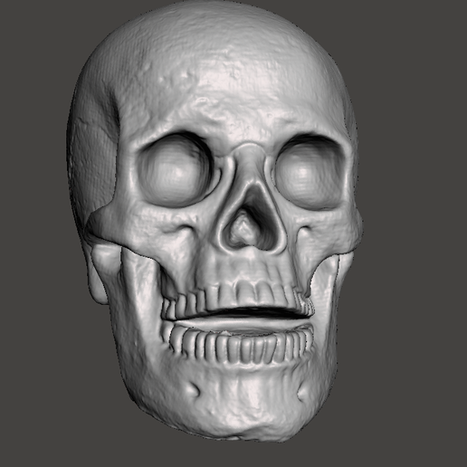 💀 Human Skull・ STL File for ・Cults