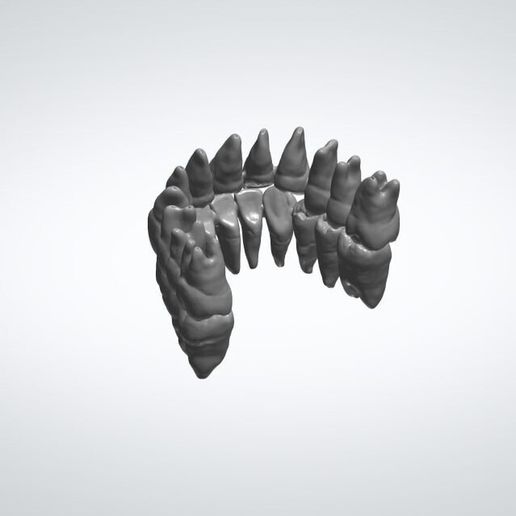 🩻 Dental models Natural teeth typodont teeth upper and lower teeth・ STL ...