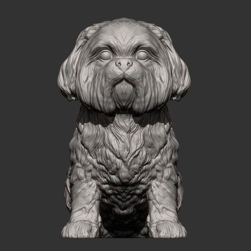 🐕 British Shih Tzu 3D print model・ STL File for ・Cults