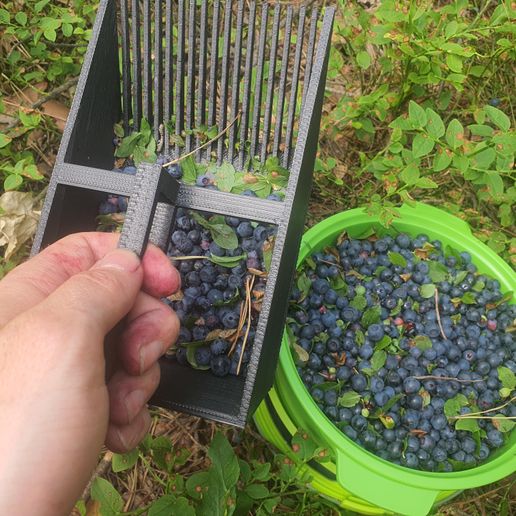 🔧 Blueberry rake Berry Picker currants, chokeberry・Free STL File for 3D ...