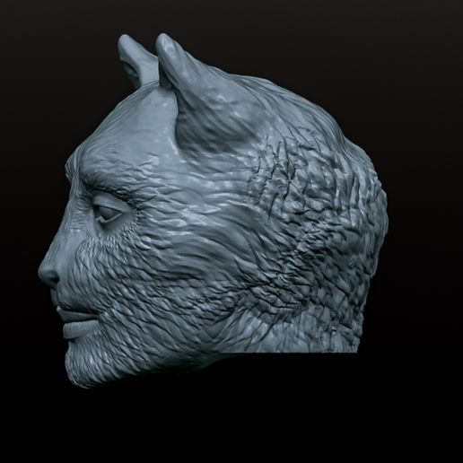 3D file Action Figure Head "Cat People Feline Warrior Female" 🐱 ・3D ...