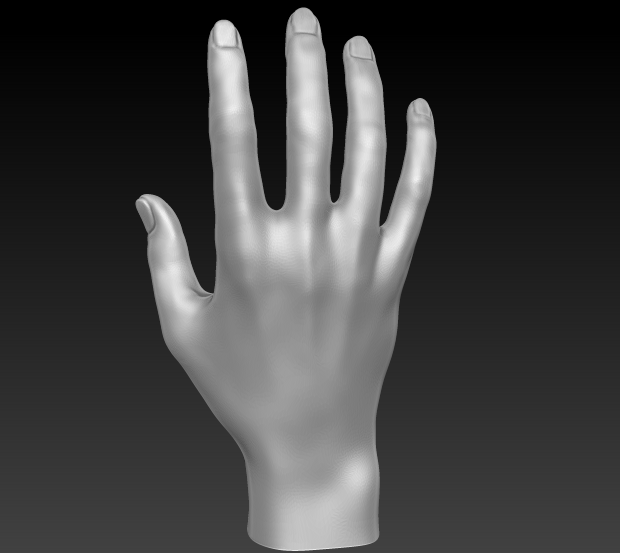 STL file Hand・3D printable design to download・Cults