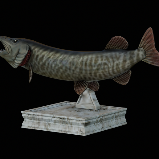 STL file fish pike muskellunge muskie / Esox masquinongy in motion 2 ...