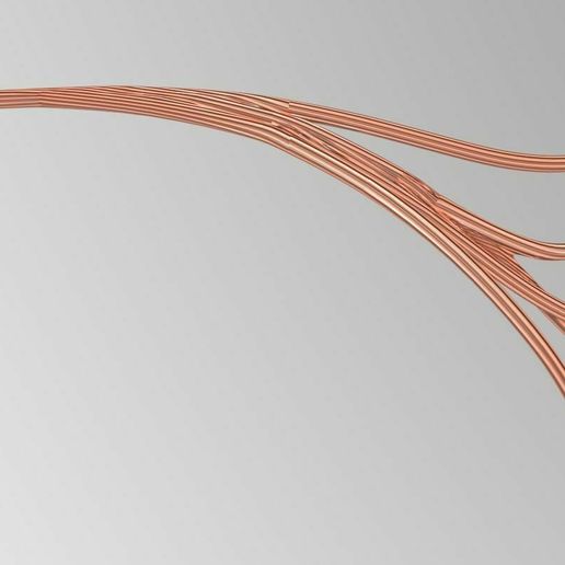 Muscle cross section 3D model・ 3D File for 3D printing・Cults