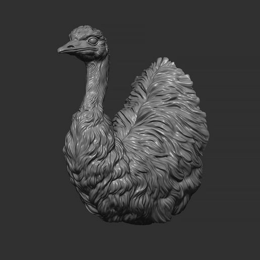 👤 Emu bust・ STL File for ・Cults