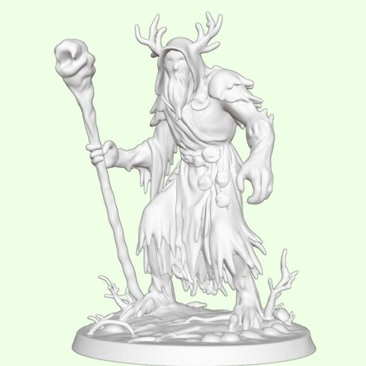 🎲 Vaelgor the Hollow Root – Druid of the Withered Bloom (Verdant Pact ...